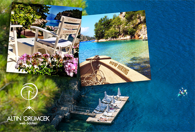 Hillside Beach Club’ın Chief CIO projesi, 14. Altın Örümcek’te “En İyi ...